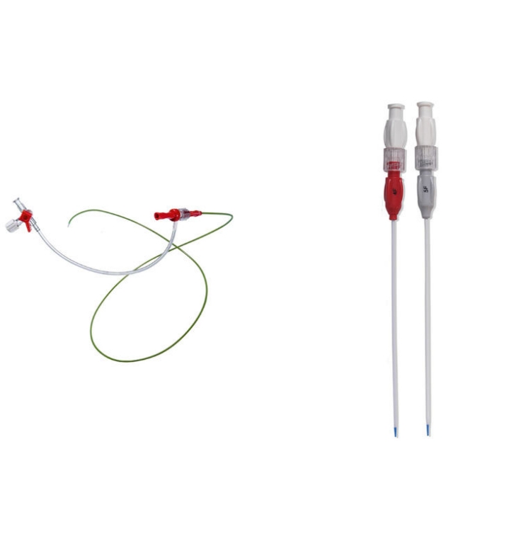 B. Braun Interventional Systems